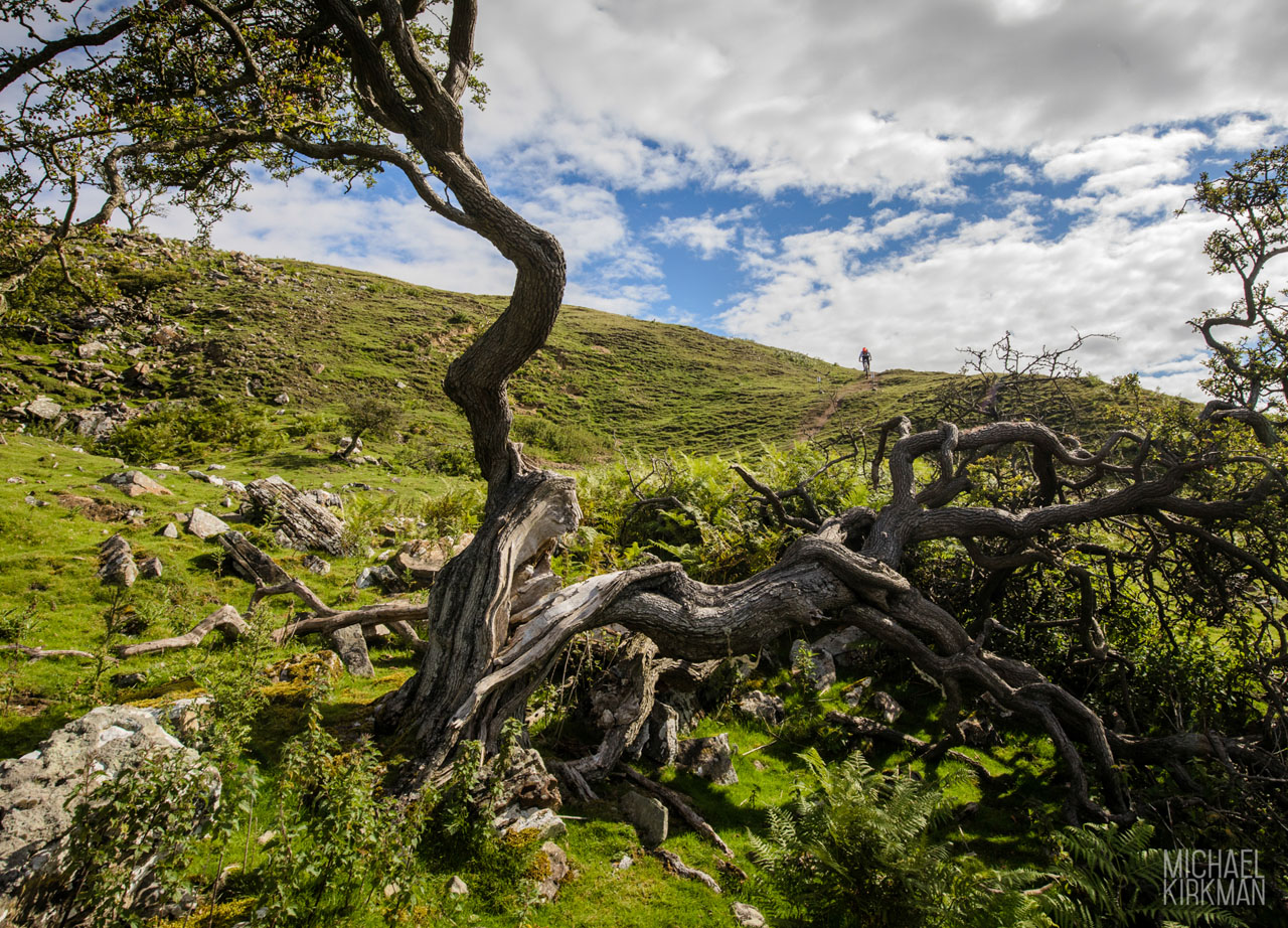 Ard Rock Enduro: Organisers Report and Gallery - Singletrack World Magazine