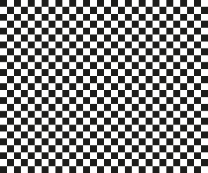 2020 Canyon Spectral comes with a Pike and Eagle for £1949!