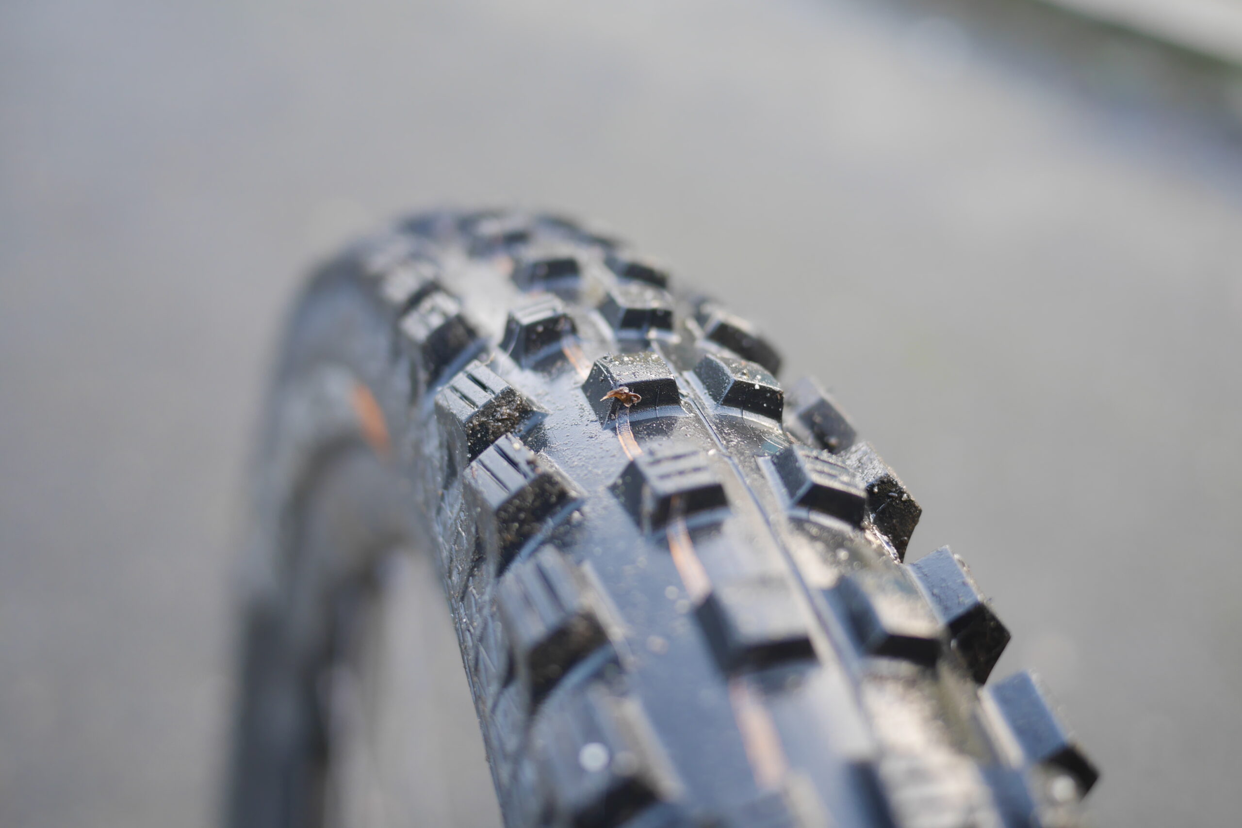 Schwalbe Magic Mary review – Singletrack World Magazine