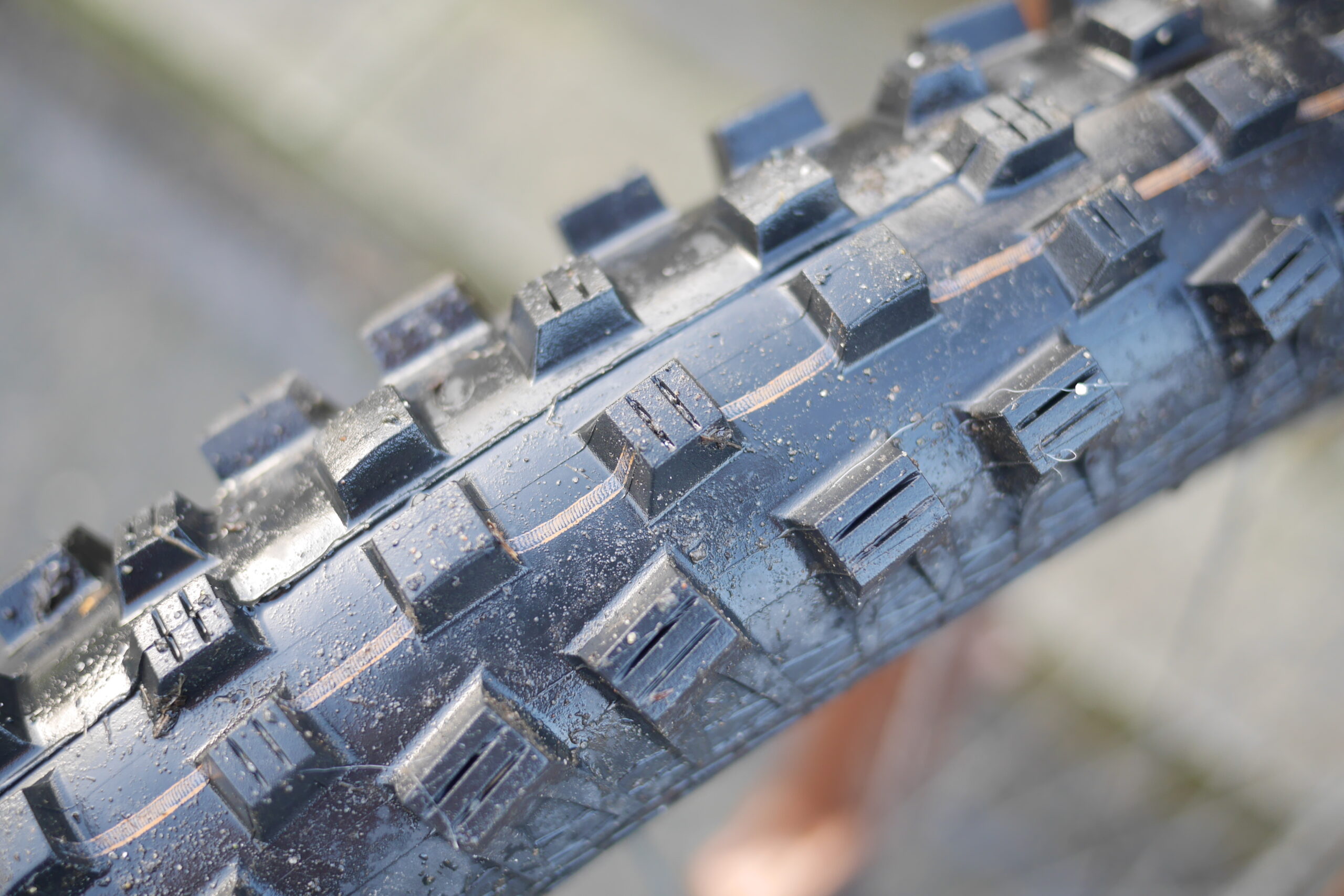Schwalbe Magic Mary review – Singletrack World Magazine