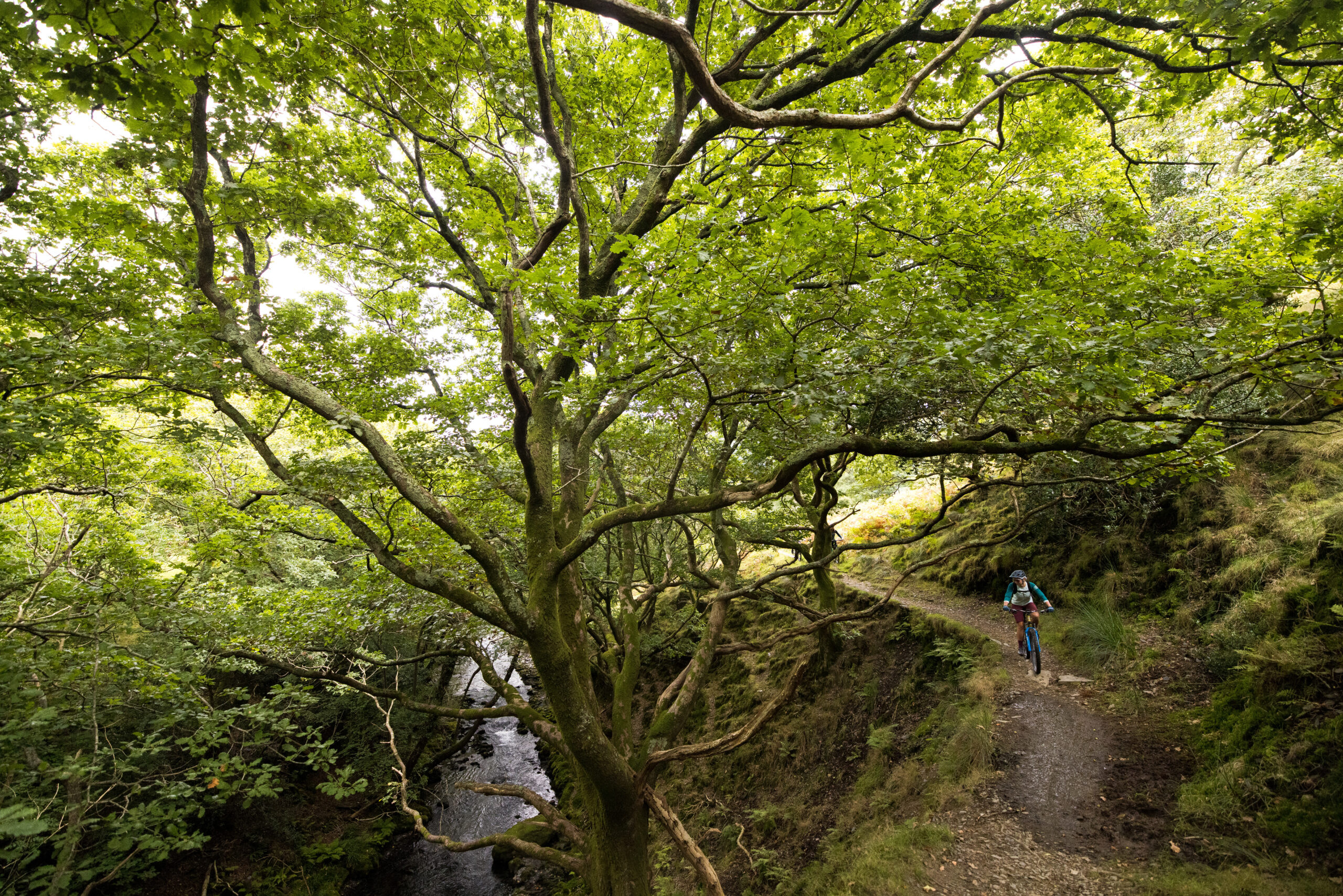 NEW Cycling UK Route: Traws Eryri – Singletrack World Magazine