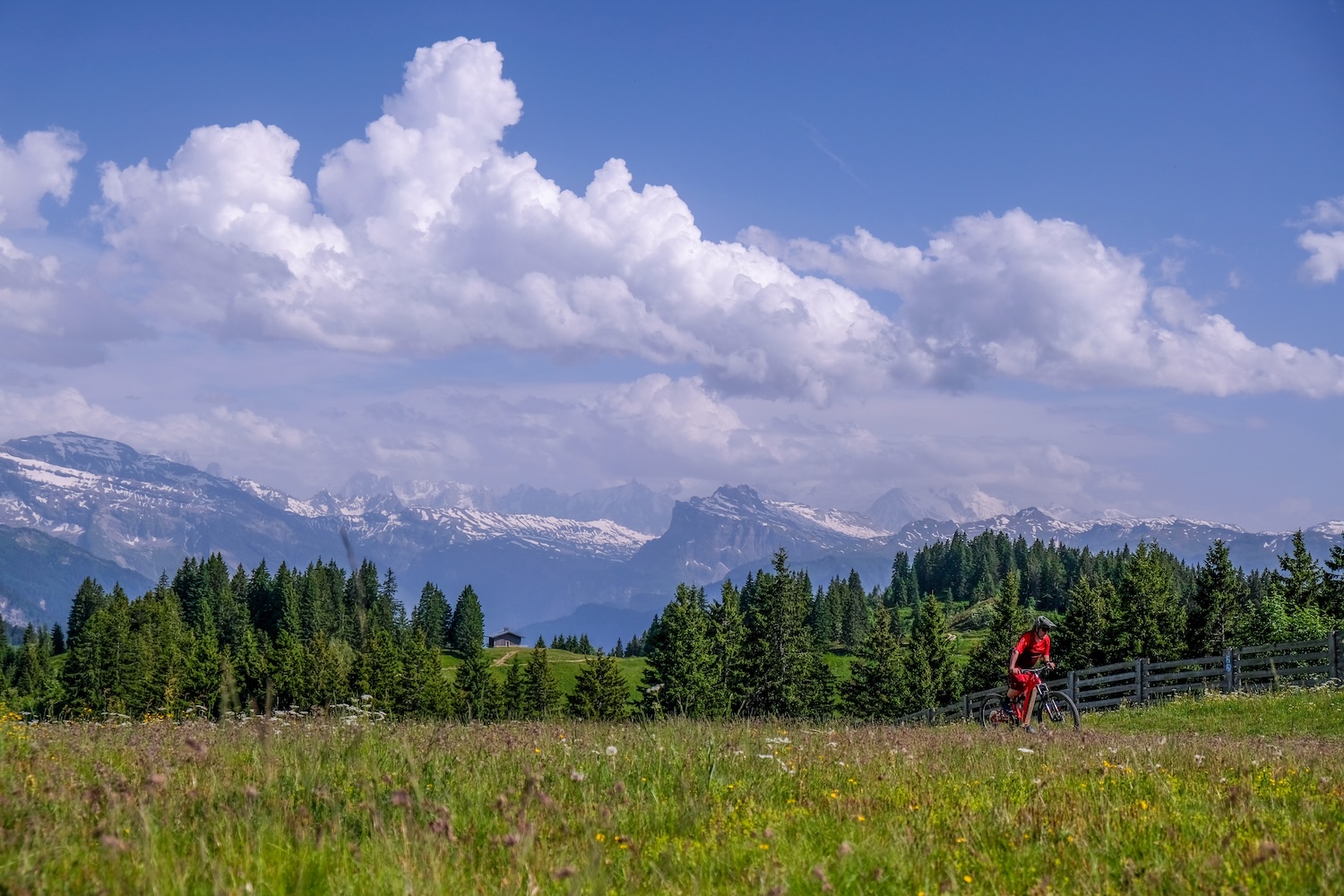 Singletrack World Magazine – Doing mountain biking differently since 2001