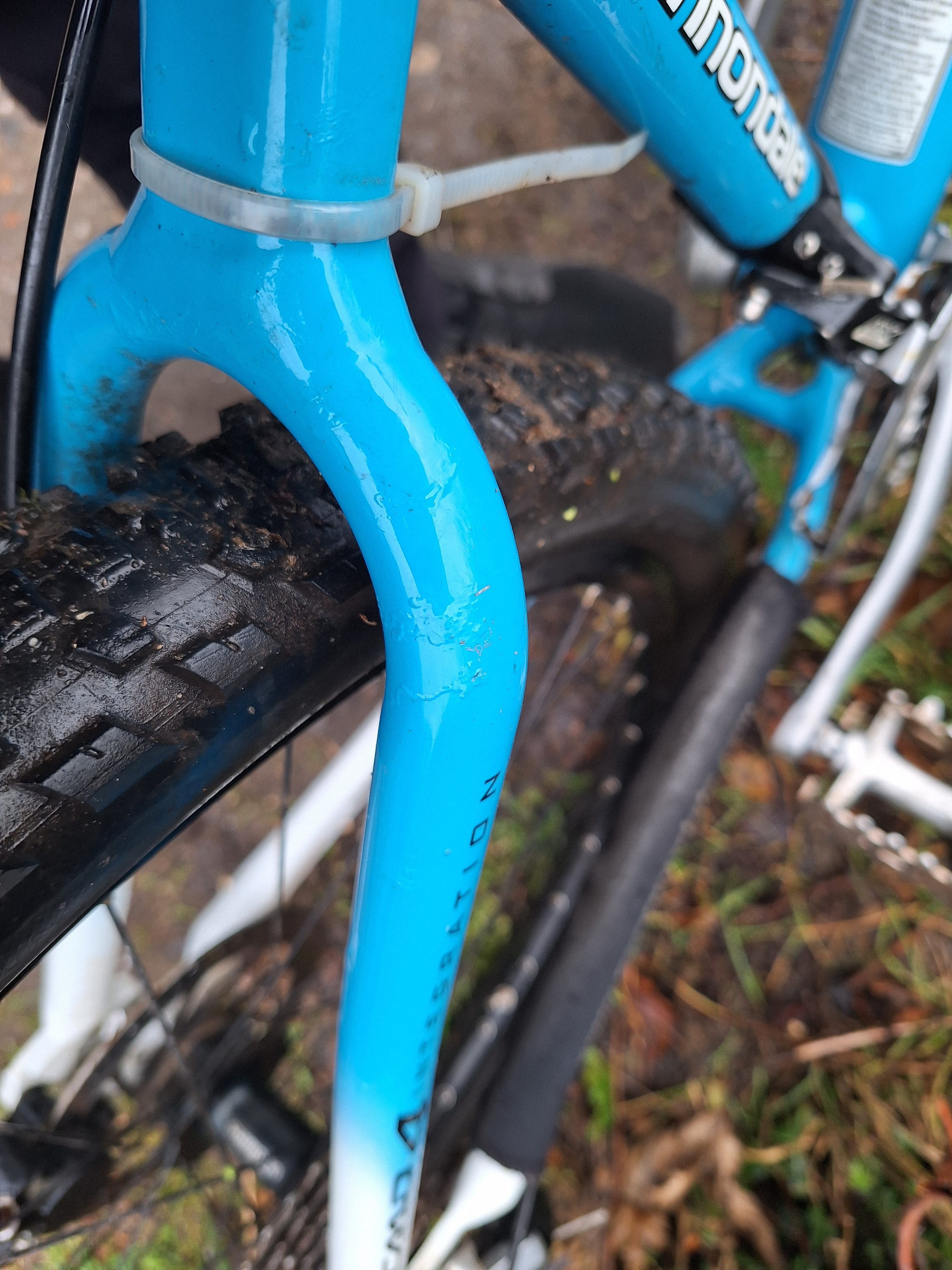 20260131_153301 – Singletrack World Magazine
